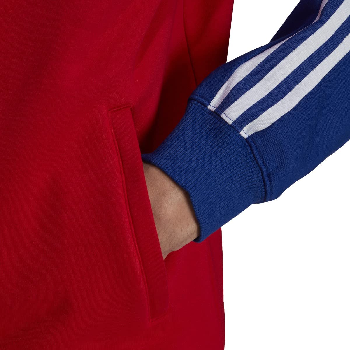 adidas Men's FC BAYERN 21/22 ANTHEM JACKET (RED/MYSTERY, Large)
