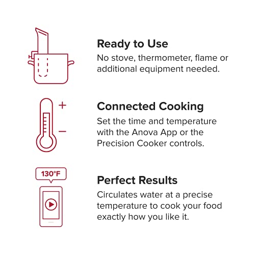 Anova Culinary (ANOVA)ᴿᴱᴰ Precision Cooker Nano, Black, Small