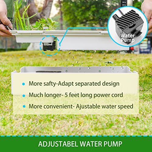 BETAZOOER Turtle Tank with Adjustable Water Pump Filter, Full View Visually Tortoise Aquarium Habitat, Easy Changing Water and Clean for Small Amphibious Creatures Reptiles (15.7×11.8×10Inch)
