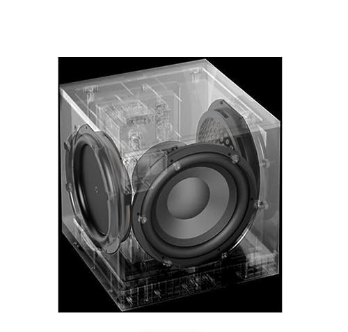 Definitive Technology Descend DN12 12" Subwoofer (2021 Model) - Optimized for Movies and Music, New 3XR Architecture, 1500W Peak Class H Amplifier & (2) Pressure-Coupled 12" Bass Radiators, Black