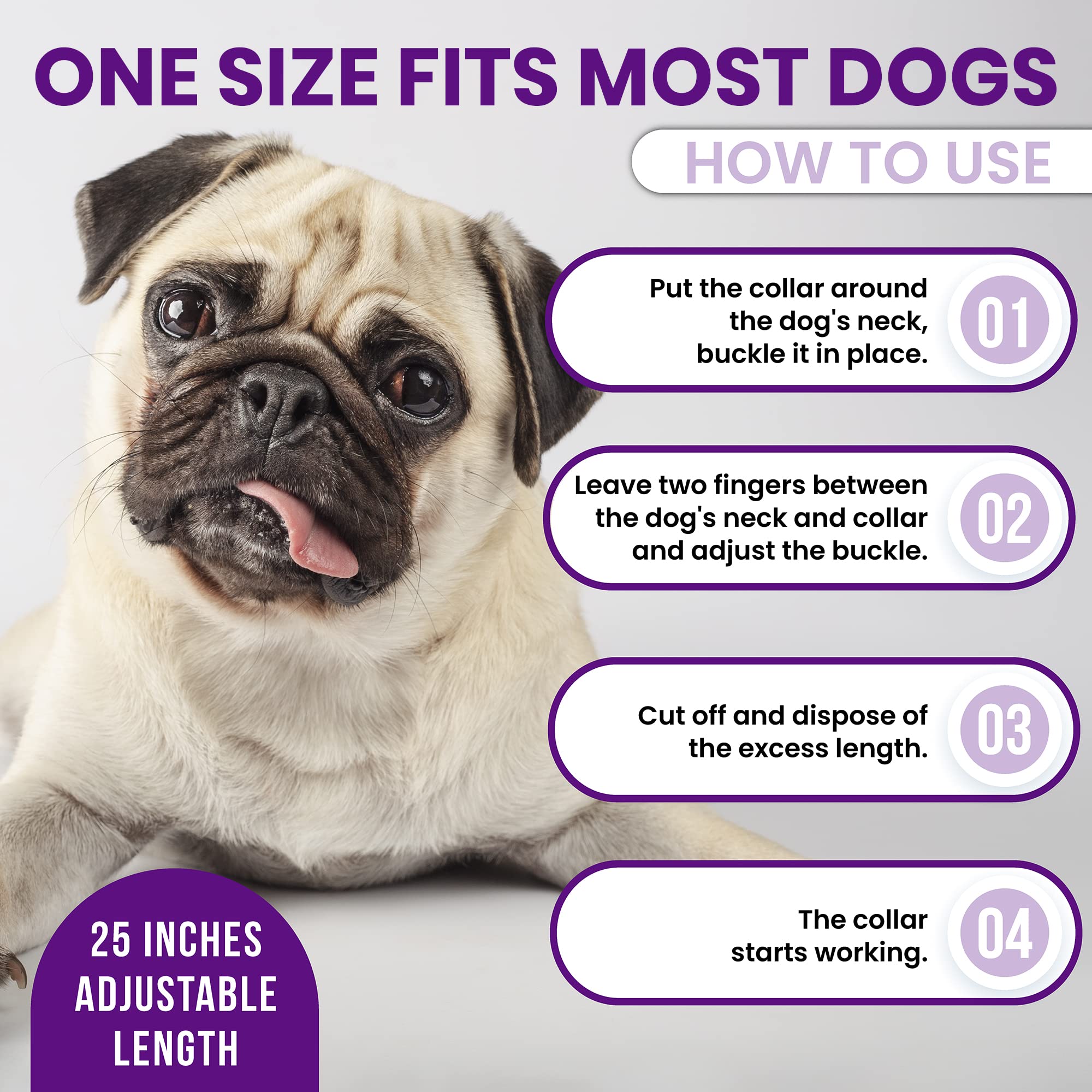 Royce Naturals 4 Pack Calming Collar for Dogs, Pheromone Breakaway Dog Collar, Separation Anxiety Relief for Dogs, Purple, (PETCOL01-3PP)
