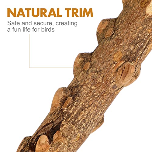 Balacoo Bird Stand Perch Bird Training Stand: Anti-Slip Design: The Surface is Rough, The Bird can Stand Comfortably and Safely, and not Easy to Slip. Paw Grinding Perch