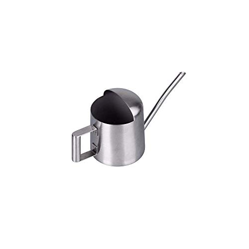 IMEEA Tiny Watering Can for Indoor Plants Bonsai Tree Stainless Steel Small Watering Can Succulents, 11oz/300ml