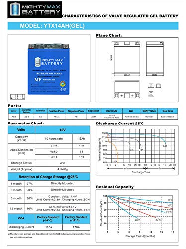 Mighty Max Battery YTX14AHGEL - 12 Volt 12 AH GEL Type, 210 CCA, Rechargeable Maintenance Free SLA AGM Motorcycle Battery