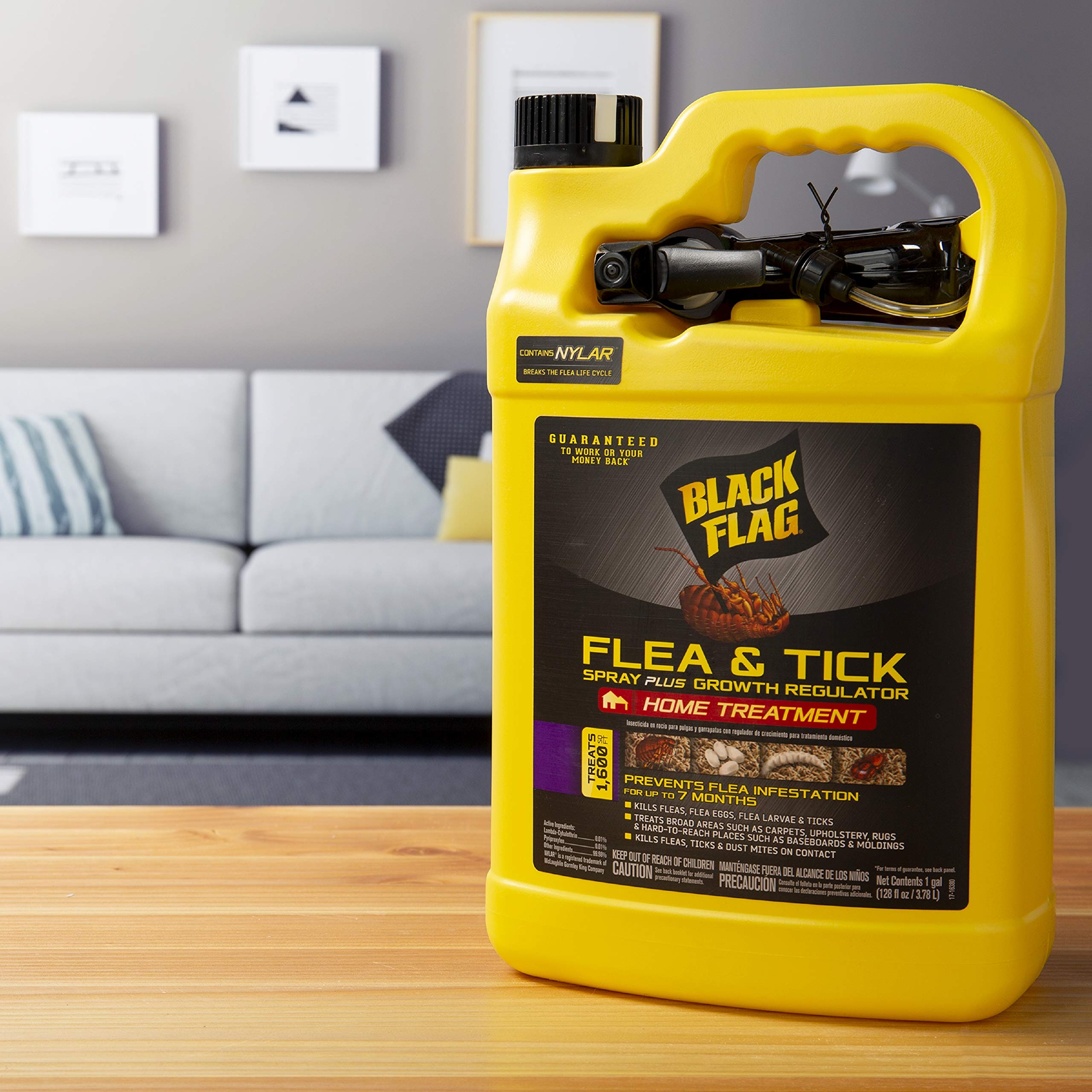 Black Flag Flea & Tick Killer Home Treatment with Growth Regulator Spray, 1 gallon