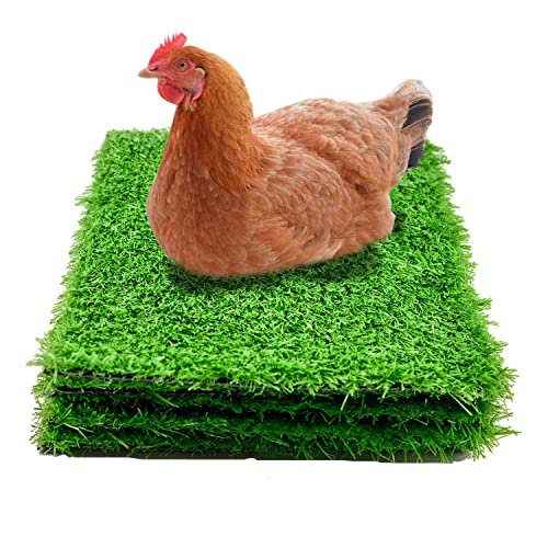 Bundle of 2 Pack Chicken Veggies Feeder and 5 Pack Chicken Nesting Box Pads