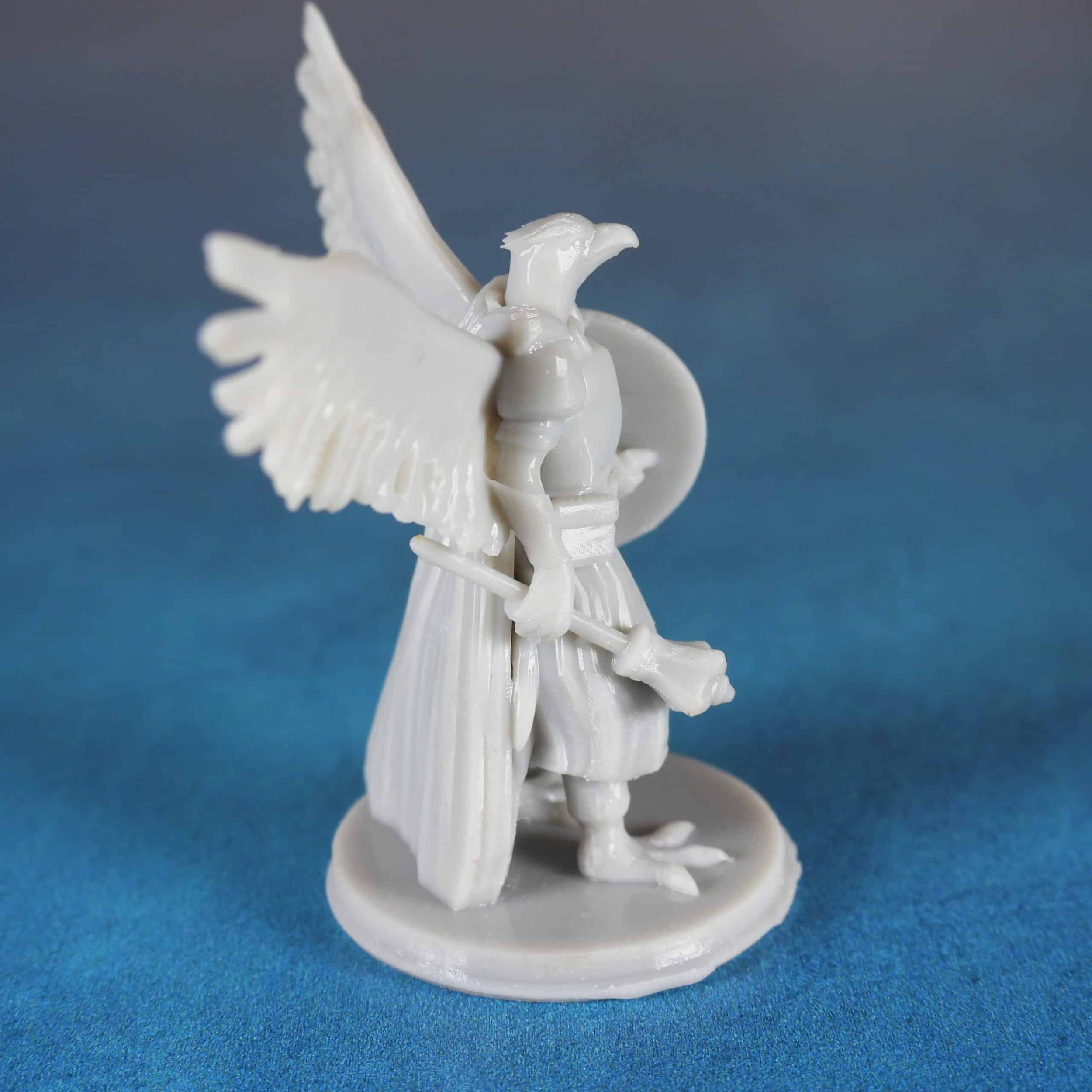 Aarakocra Male Cleric