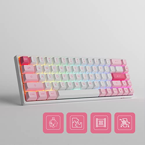 Akko 3068B Plus Prunus Lannesiana 65% Percent Hot Swappable Pink Mechanical Keyboard Wireless with Extra 90pcs Jelly Black Linear Switches, Wired/Bluetooth RGB Gaming Keyboard with PBT Keycaps