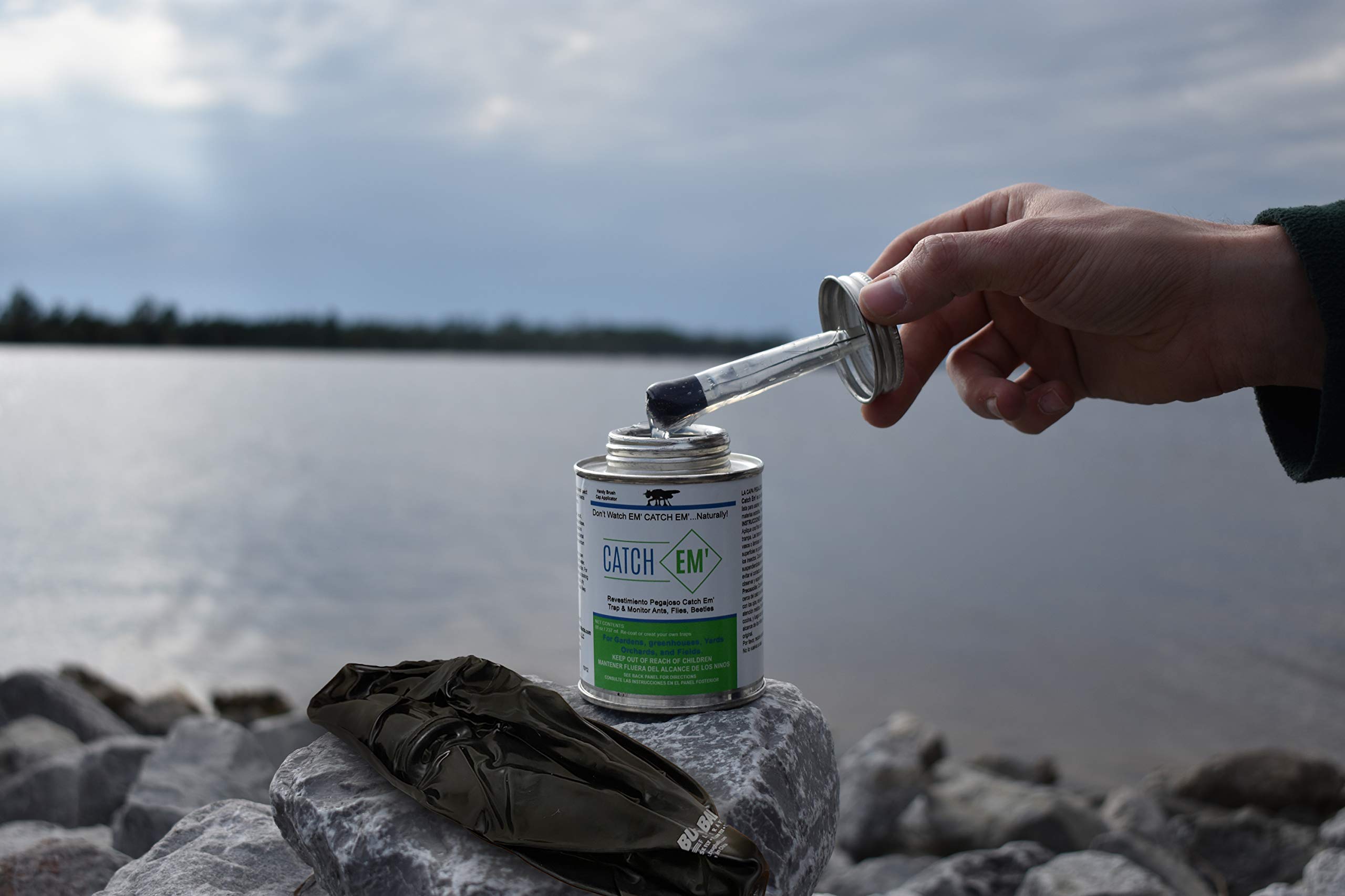 Catch EM' Sticky Coating 8oz Brush on Insect Trap Coating(Brush Cap)