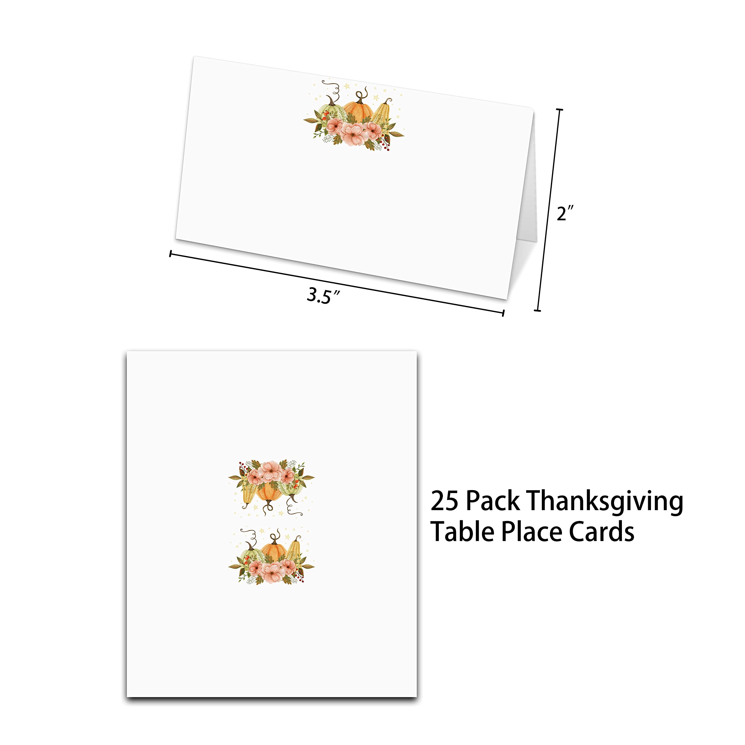 Fall Thanksgiving Table Place Cards, Orange Pumpkin Blank Seating Place Card for Table, 25 Pack Buffet Food Tent Labels, Double Design Name Cards, Thanksgiving Day Party Decorations(01)