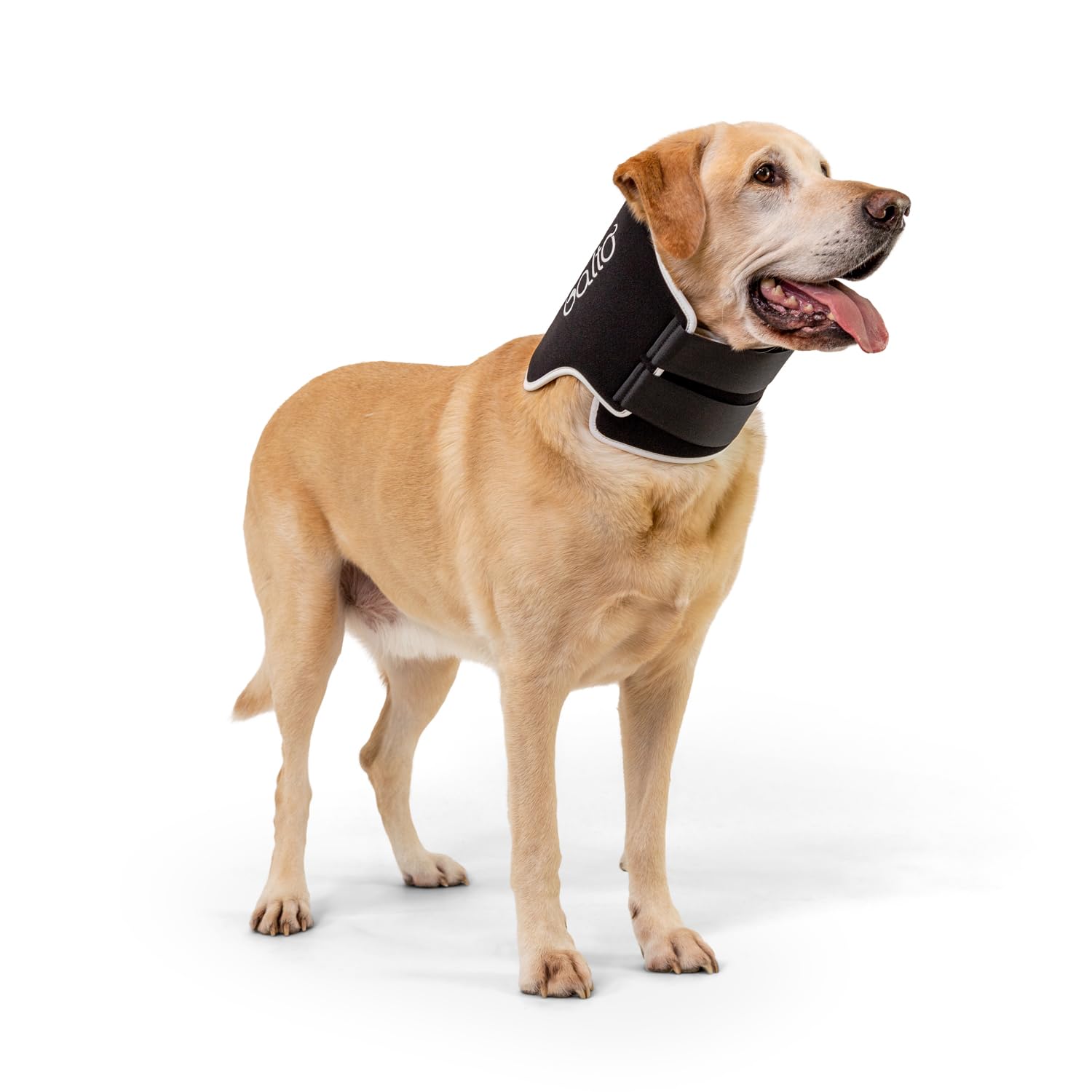 Balto Neck Eco E-Collar Alternative – Dog Recovery Collar – Padded Dog Cone - Pre/Post Surgery Helps Protect Wounds and Rashes- Body Only Protection (Medium)