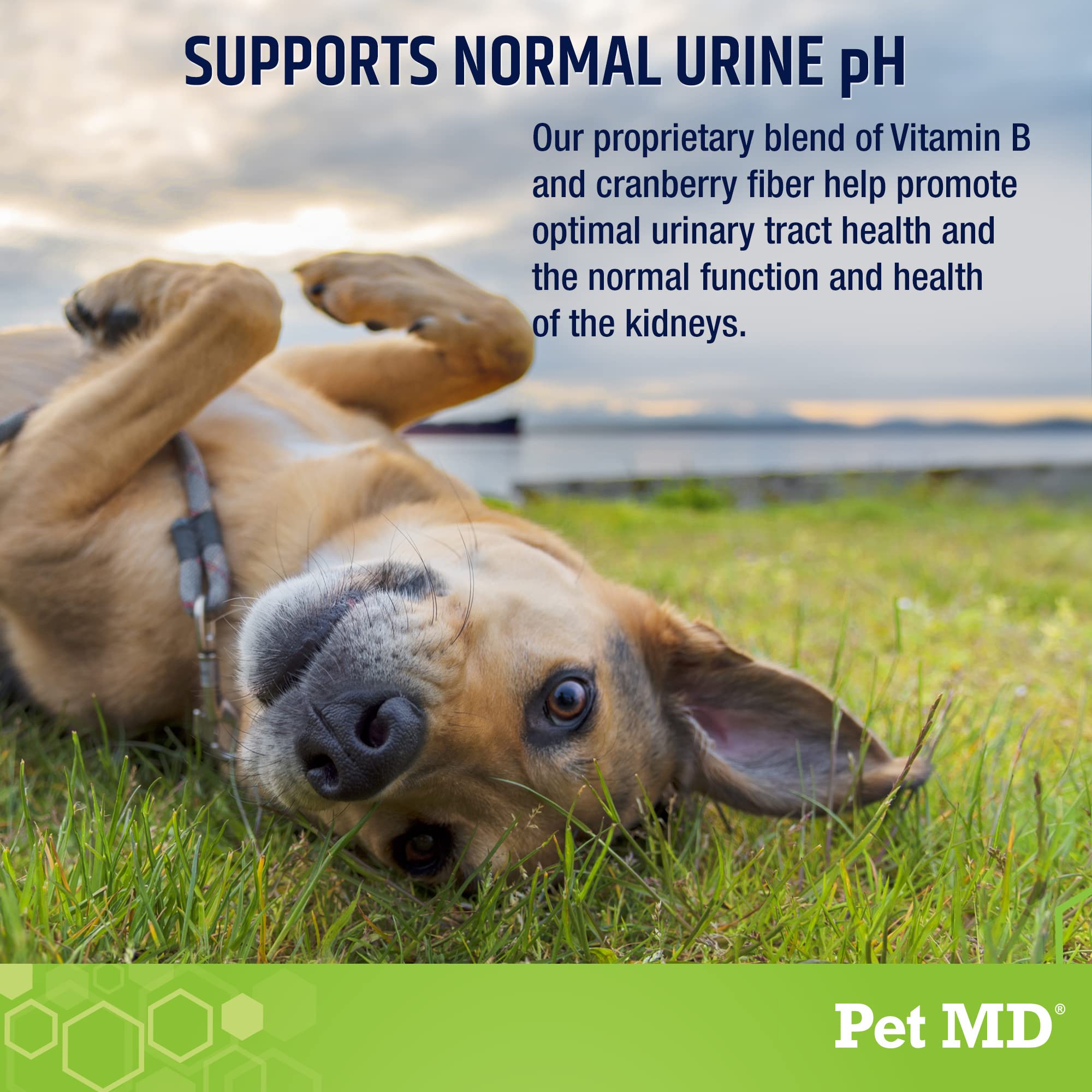 Pet MD Lawn Aid Chews - No More Yellow Spots Dog Urine Neutralizer for Lawn - pH-Balancing Helps Prevent Dog Pee from Killing Grass - Enhanced with Digestive Probiotics for Dogs & Puppies - 120 ct