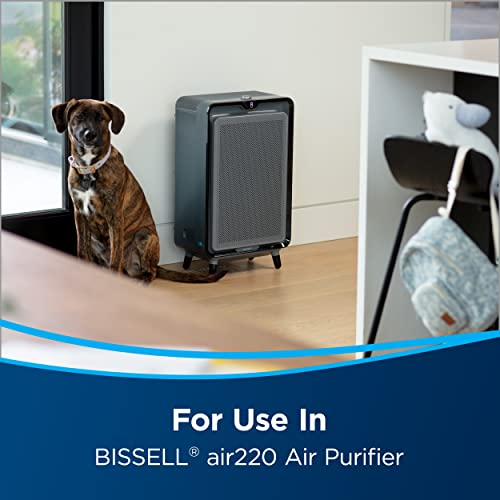 BISSELL air220 Air Purifier Replacement Pet Pro Filter Pack, 3289
