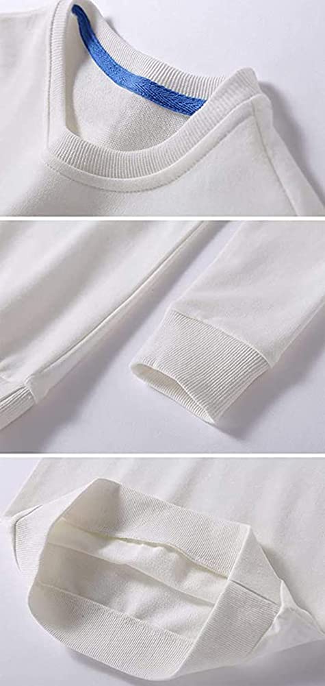 HAXICO Unisex Kids Solid Cotton Pullover Sweatshirt T-Shirt Toddler Baby Boys Girls Crewneck Long Sleeve T-Shirt Tops Blouse White, 2T