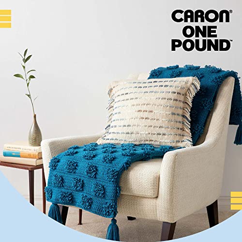 Caron One Pound Kelly Green Yarn - 2 Pack of 454g/16oz - Acrylic - 4 Medium (Worsted) - 812 Yards - Knitting, Crocheting & Crafts