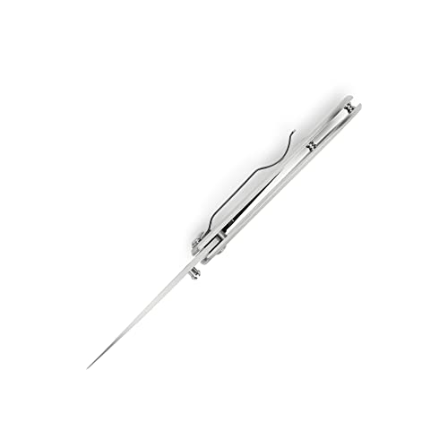 Buck Knives 0327SSS Nobleman Frame Lock Folding Knife with Thumb Stud and Pocket Clip, 2-5/8" 420HC Blade, Stainless Steel Finish