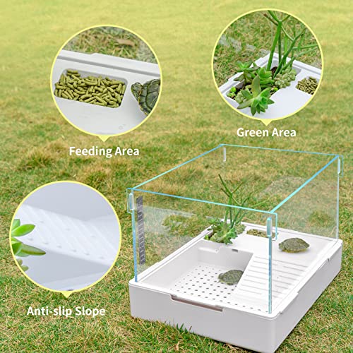 BETAZOOER Turtle Tank with Adjustable Water Pump Filter, Full View Visually Tortoise Aquarium Habitat, Easy Changing Water and Clean for Small Amphibious Creatures Reptiles (15.7×11.8×10Inch)