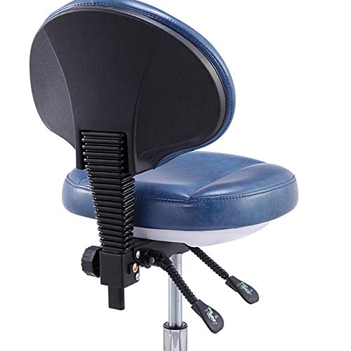 Adjustable Rolling Dental Stool Ergonomic Heavy-Duty Chair with Wheels for Beauty Salon Massage Dental Clinic Office Home Spa