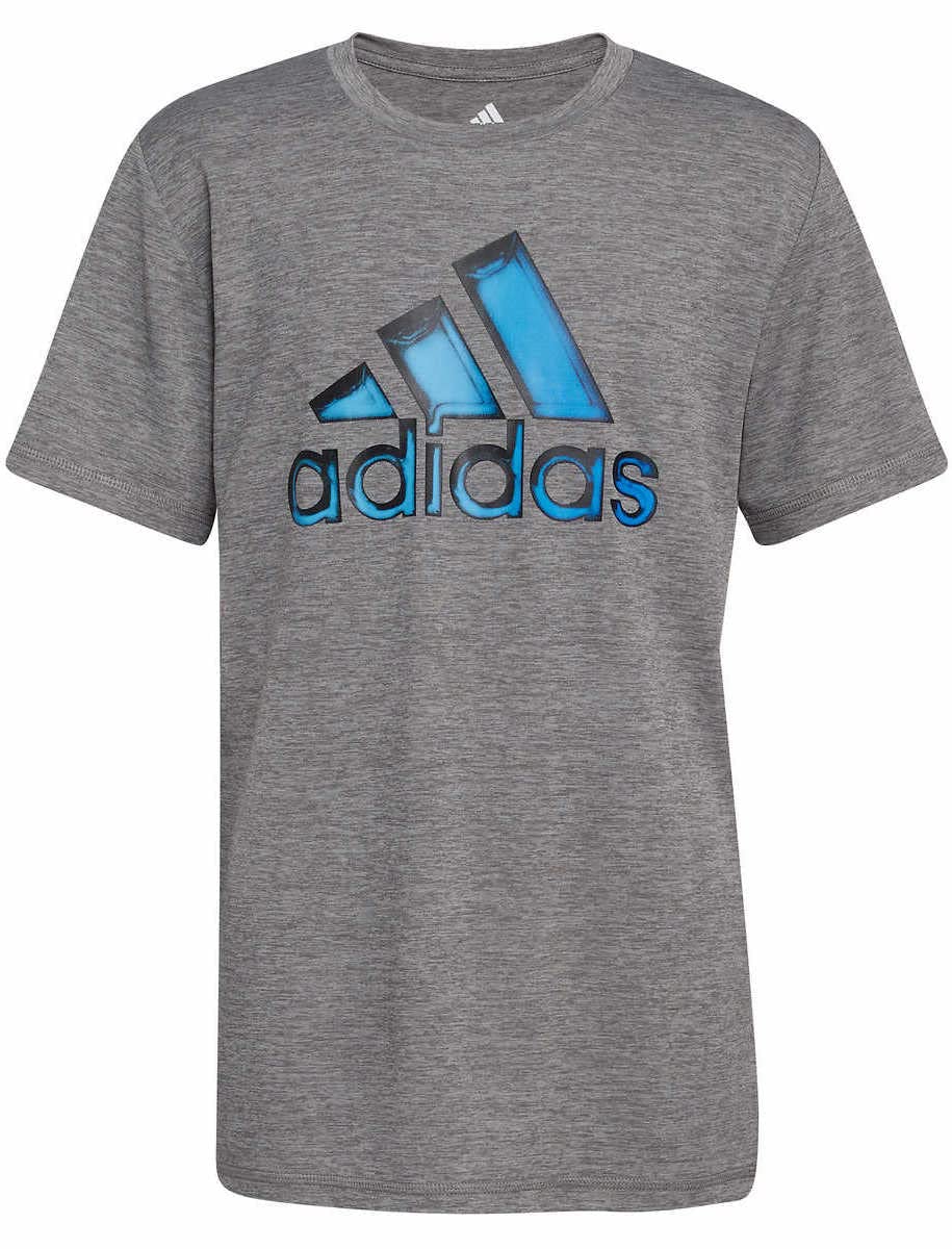 adidas boys Youth 2-Pack Performance Tee (Heather Grey/Dark Blue, X-Large 18/20)