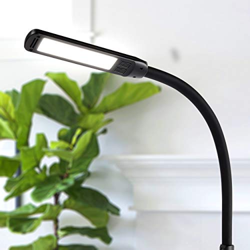 Brightech LightView Pro Flex 2 in 1 Magnifying Desk Lamp, 2.25 + Brightech Vista 3-in-1 Desk Lamp for Living Rooms, LED Floor Lamp, Tall Lamp with Remote Control, Work Light for Documents, Standing La