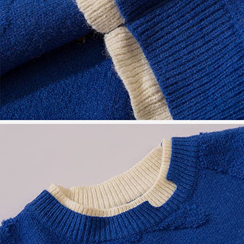 Aelfric Eden Men’s 3D Whale Jacquard Knit Sweater Graphic Printed Sweaters Long Sleeve Casual Oversized Sweater Pullover
