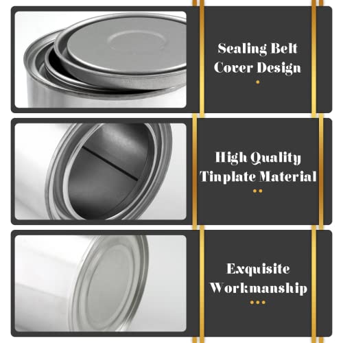 Bonsicoky 8 Pcs Empty Metal Paint Cans with Lids, Tiny Empty Unlined Cans Storage Containers for Paint(0.5 Pint/250ml)