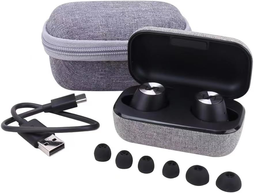 Aenllosi Hard Carrying Case Replacement for True 2 Earbuds