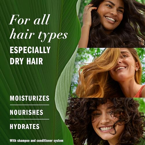 Herbal Essences Biorenew Coconut Milk Hydrate Shampoo, 13.5 Fl Oz,Pack of 6