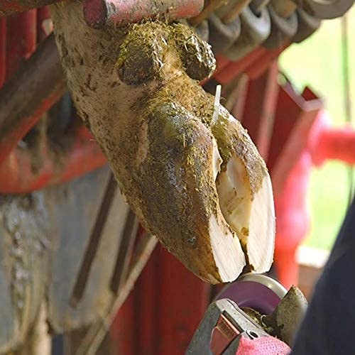 Aslion Hoof Trimming Disc for Horses Goats, Professional Electric Hoof Repair Tool High Working Efficiency and Durable - 6 Tooth Design