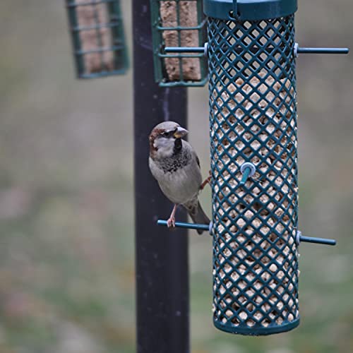 C&S Wild Bird Sunflower Suet Nuggets Mega Box, 8 Pounds