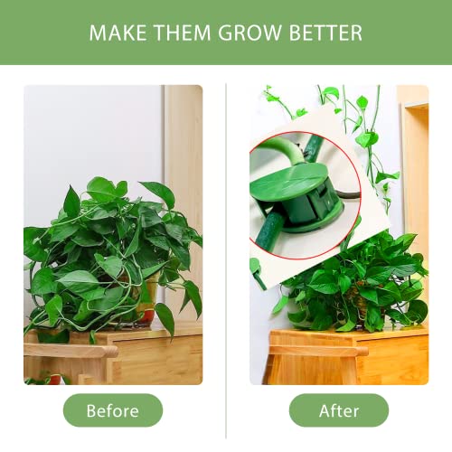 Kaoolaa Plant Clips for Climbing Plants(40 Pack), Self-Adhesive Fixer, Plant Climbing Wall Fixture Clips for Supporting Stems Grow Upright, Vines Traction, Cable Wire Fixing