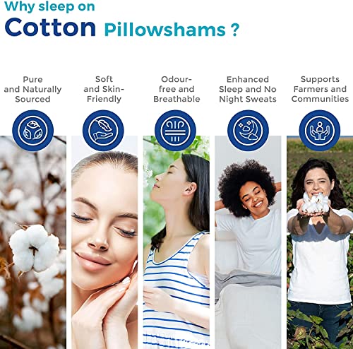 Hriksh Travel Pillow Case 12x18 Size Pack of 2 Pieces 100% Egyptian Cotton Envelope Closure 500 Thread Count Toddler Pillowcase Fits Up to 12x18, 12x16 or 11x15 (Dark Grey)