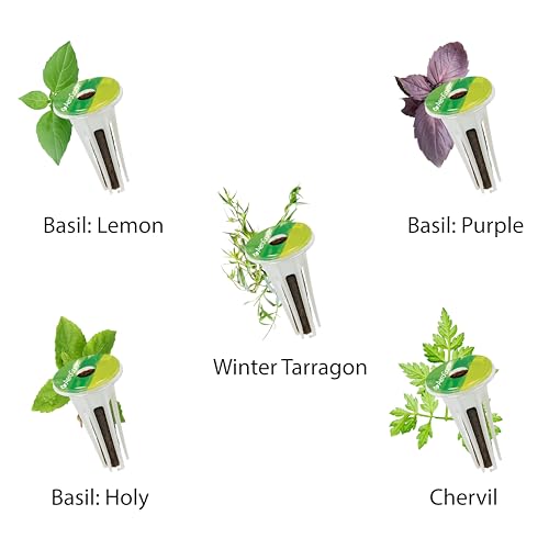 AeroGarden Custom Herb Seed pod Kit, Choose Your Own Herb Seeds to Create Your Own AeroGarden Herb Garden, 6-Pod