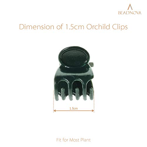 BEADNOVA Plant Clips 100Pcs Orchid Clips Orchid Support Clips Vine Clips Plant Clips for Support Flower Orchid Vine (100PCS)