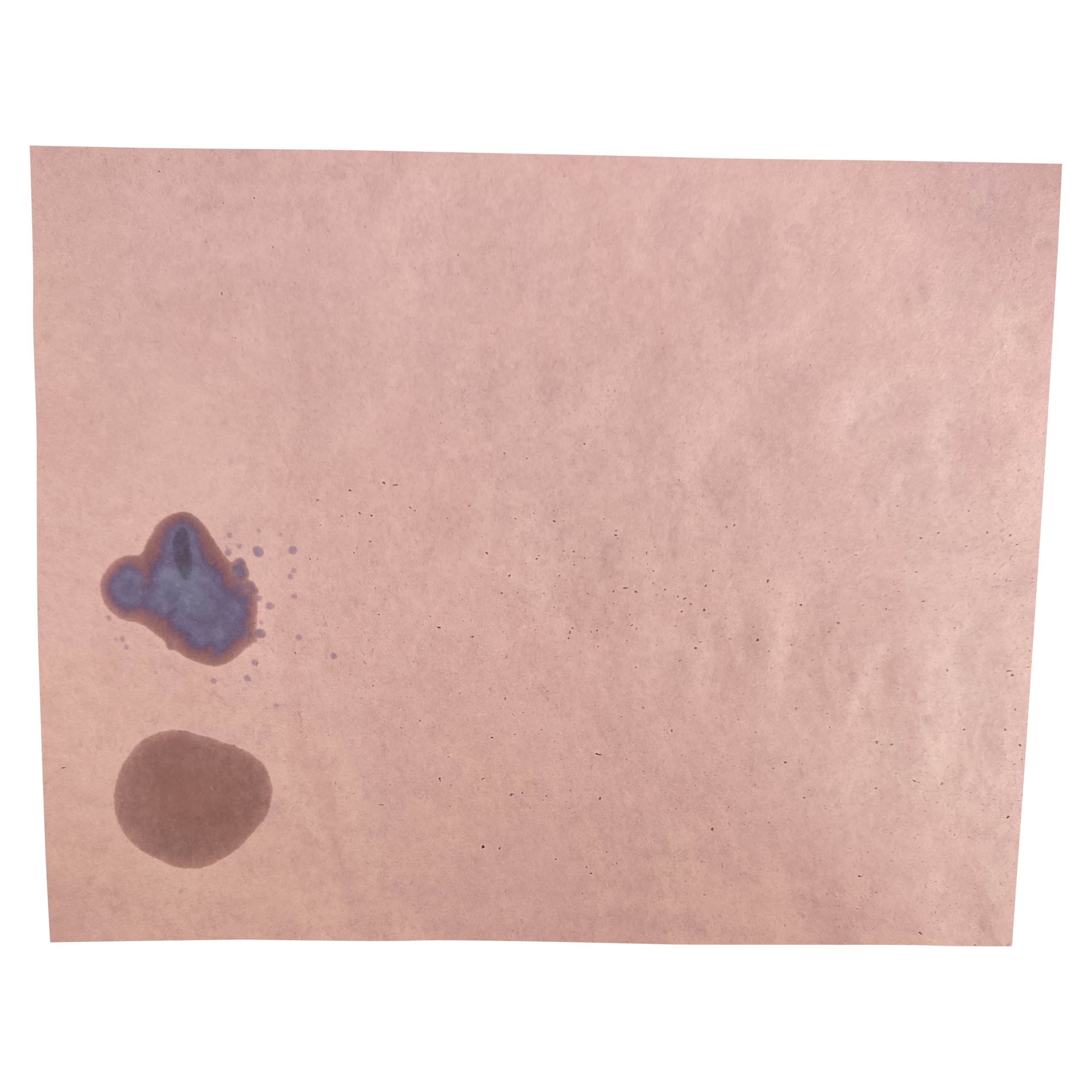 Red Litmus Test Paper 8x10 Inch Sheet [Pack of 24]