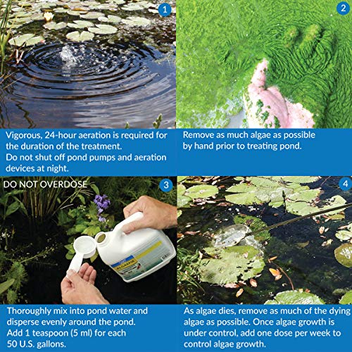 API POND ALGAEFIX Algae Control 8-Ounce Bottle