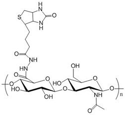 Hyaluronate-Biotin, MW 750kDa (10mg)