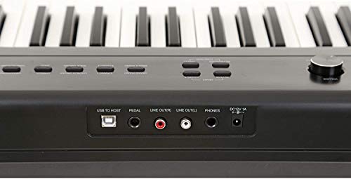 88-Key Portable Digital Piano/Keyboard for Beginners with Full Size Soft Touch Keys, Power Supply, Sustain & 2 Months.