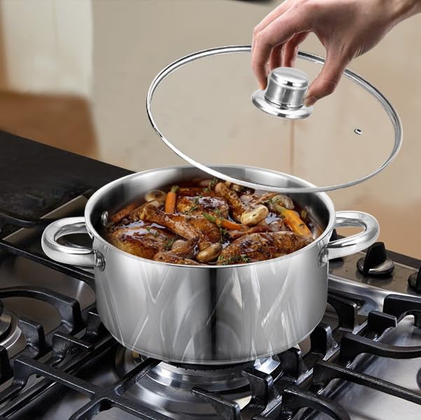 Bene Casa Classics Stainless Steel Dutch oven with Glass lid. 3 Quart