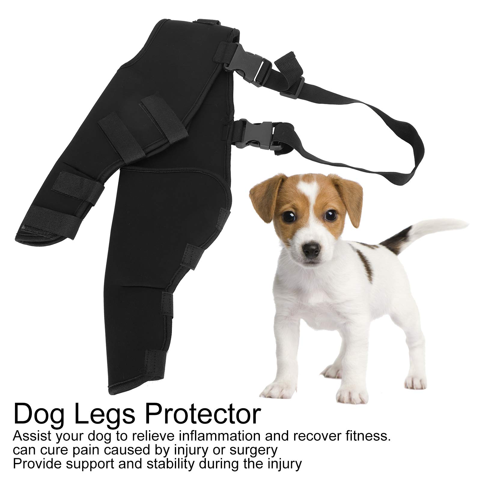 GOTOTOP Hind Legs Protector, Elbow Brace Dog Knee Brace Joint Brace Adjustable pet Knee Pads for Dog hind Leg Recovery(L-HJ25 Double Leggings Back Black)
