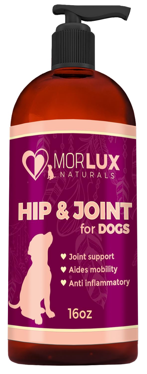 Morlux Naturals Liquid Glucosamine for Dogs, Hip & Joint Supplement w/MSM, Chondroitin, Omega 3, Hyaluronic Acid, All Breeds Green-Lipped Mussel for Improved Flexibility & Mobility, Made in USA, 16 Oz