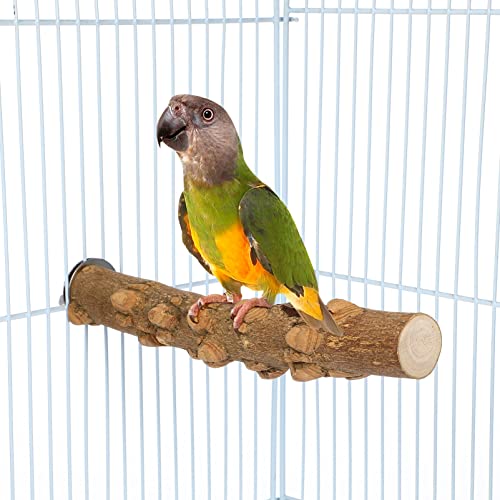 Balacoo Bird Stand Perch Bird Training Stand: Anti-Slip Design: The Surface is Rough, The Bird can Stand Comfortably and Safely, and not Easy to Slip. Paw Grinding Perch