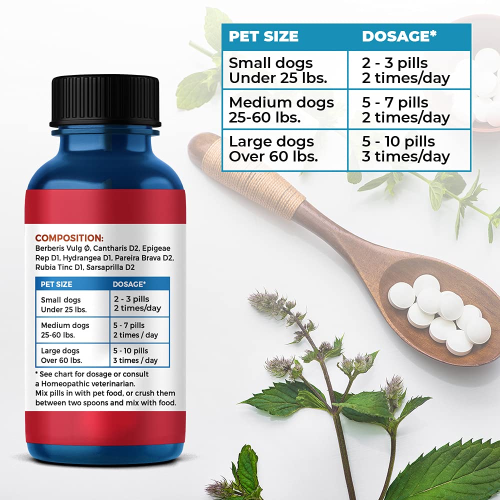 BestLife4Pets Dog UTI Kidney Support - Natural Urinary Tract Infection Treatment β Renal and Bladder Control Supplement β Easy to Use Pills (2 Pack)