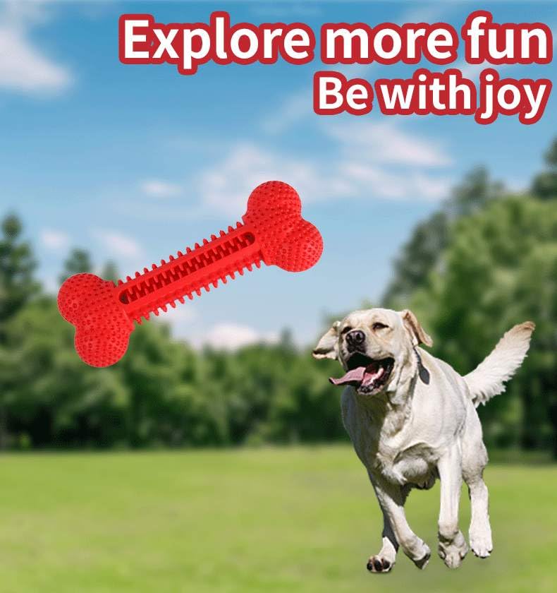 Teething Buddy: Dental Dog Chew Bone Toy for Puppies. (Green)