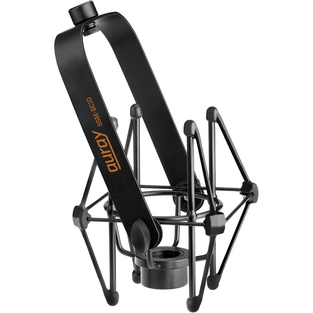 Electro-Voice RE20 Broadcast Announcer Microphone (Black) Bundle with Mic Shockmount & Broadcast Arm,XLR