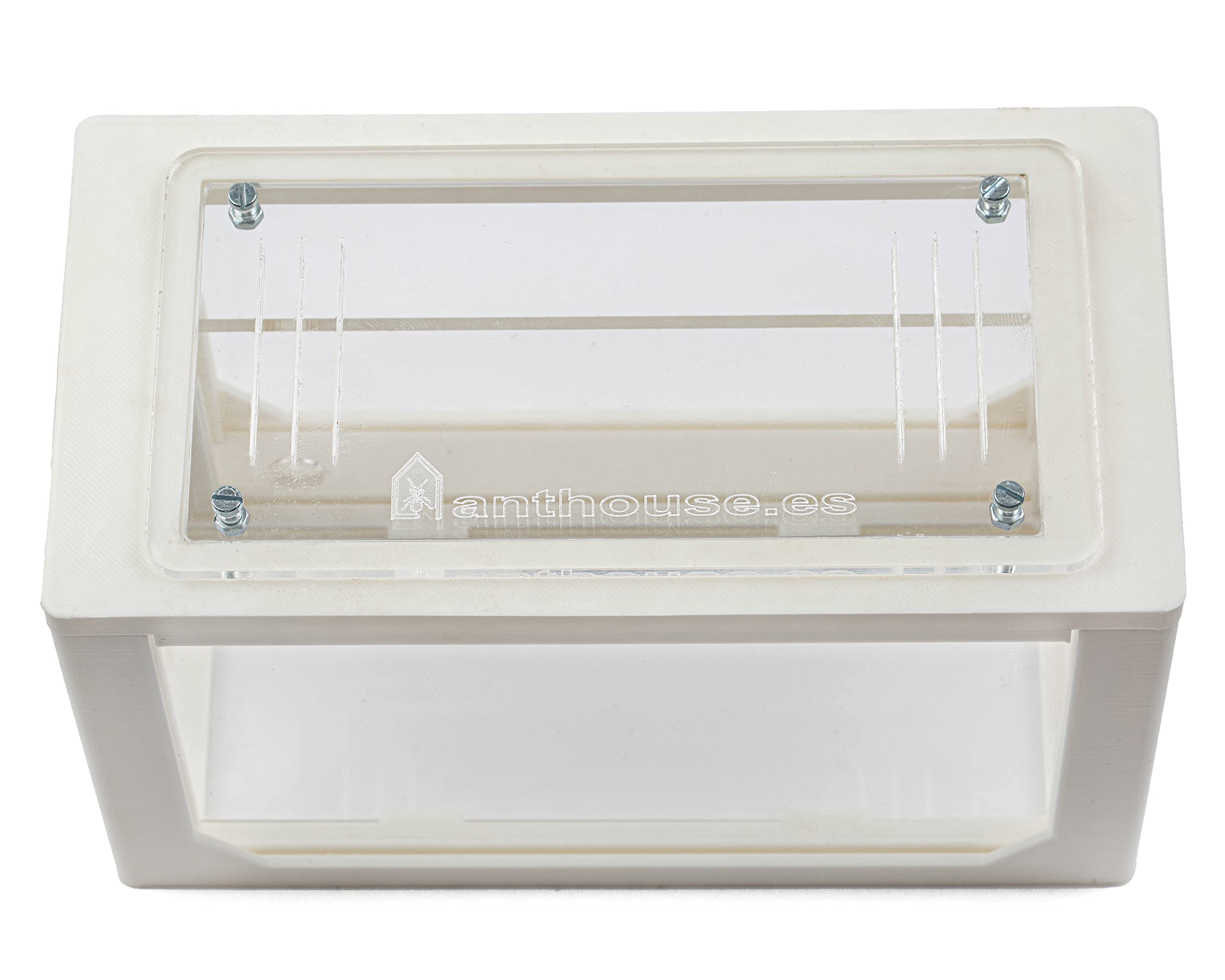 AntHouse - Natural Sand Ant Farm | 3D Green Starter Kit 7.87 x 3.94 x 3.94 in