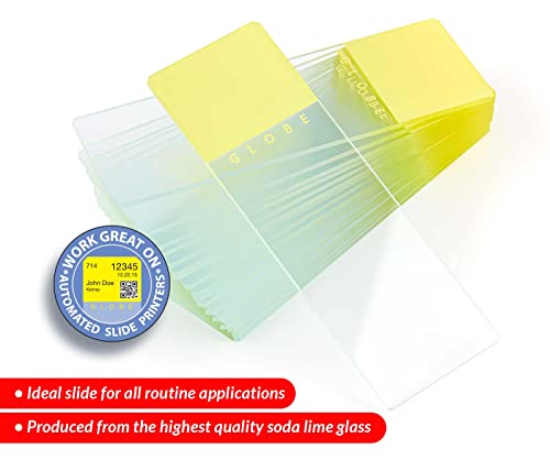 Globe Scientific 1324Y Glass Microscope Slide, 25 x 75mm Size, Ground Edges with Safety Corners, Yellow Frosted (1,440 slides)