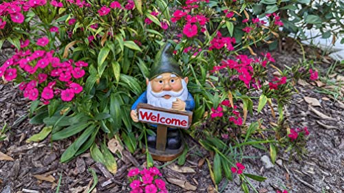 Dawhud Direct Welcome Gnome Solar Light for Home and Outdoor Decor Gnome Solar Powered Flickering LED Garden Light Backyard Gnome Decoration Solar Powered Flickering LED Garden Light