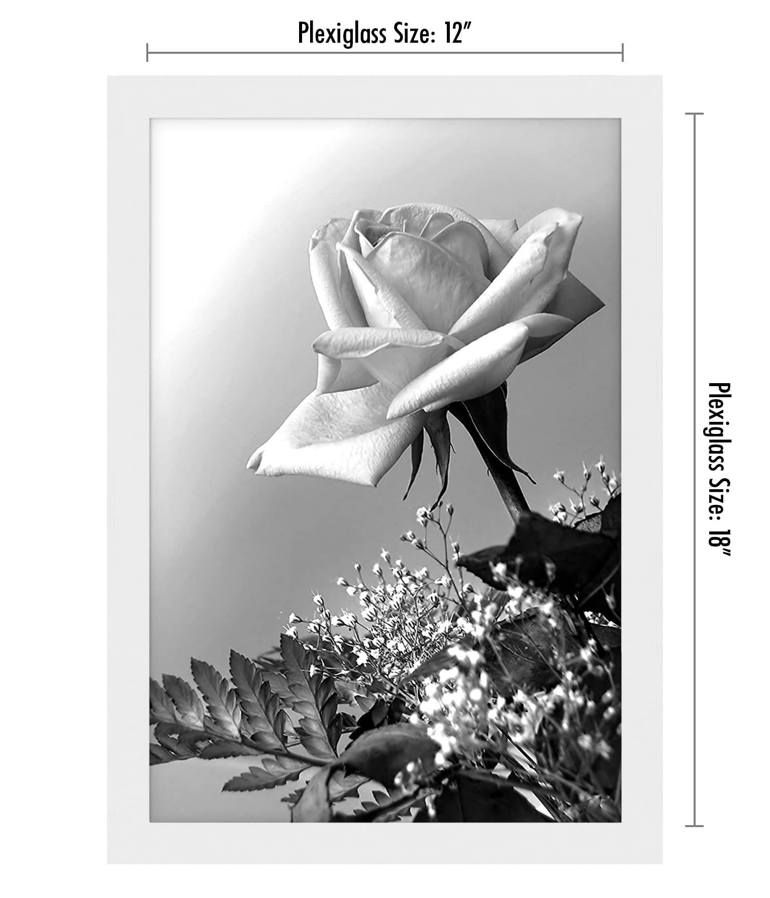Americanflat 12x18 Poster Frame in White - Photo Frame with Engineered Wood Frame and Polished Plexiglass Cover - Horizontal and Vertical Formats for Wall with Built-in Hanging Hardware