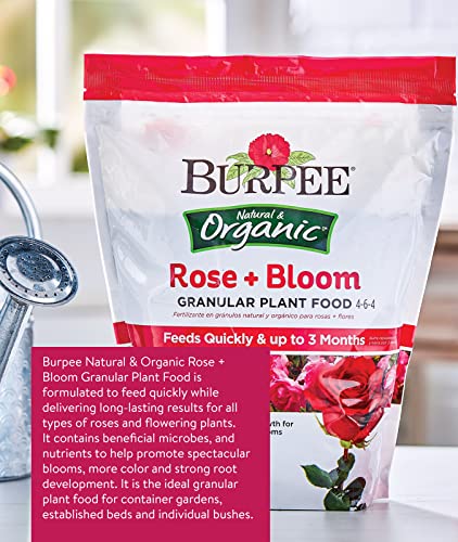 Burpee Organic Bloom Granular All-Natural Food for Roses and Flower Plants | Ideal for Container Gardens, Beds or Bushes, 4 lb, 4lb. Bag